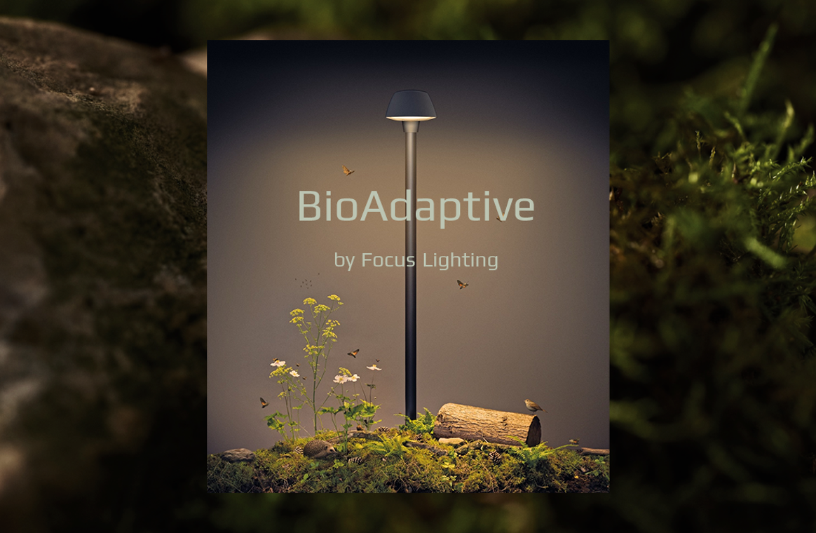 Focus-Lighting - Startseite